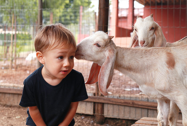Fazendinha Azul – Espaço de desenvolvimento infantil