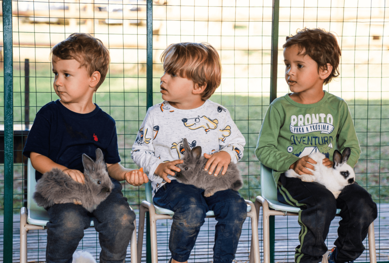 Fazendinha Azul – Espaço de desenvolvimento infantil